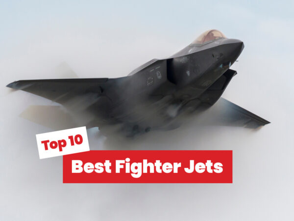 TOP 5 Airbus plane designs inspired by animals - AeroTime