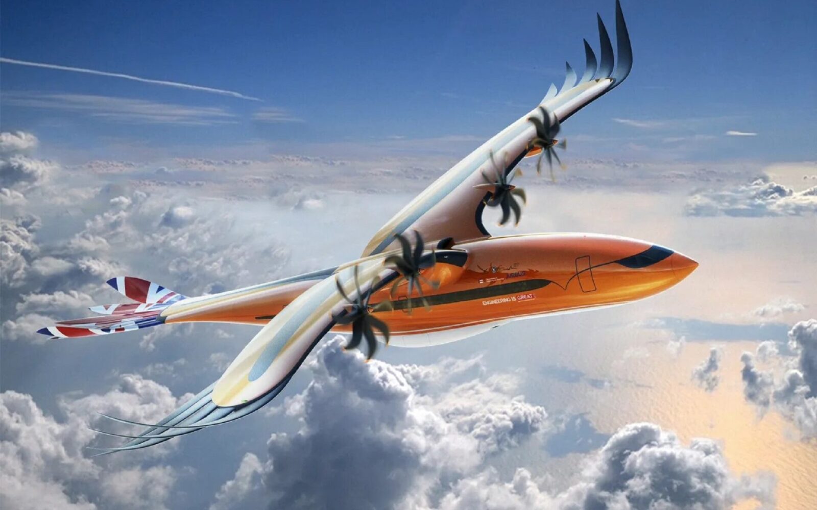 Aircraft design and concepts inspired by the natural world
