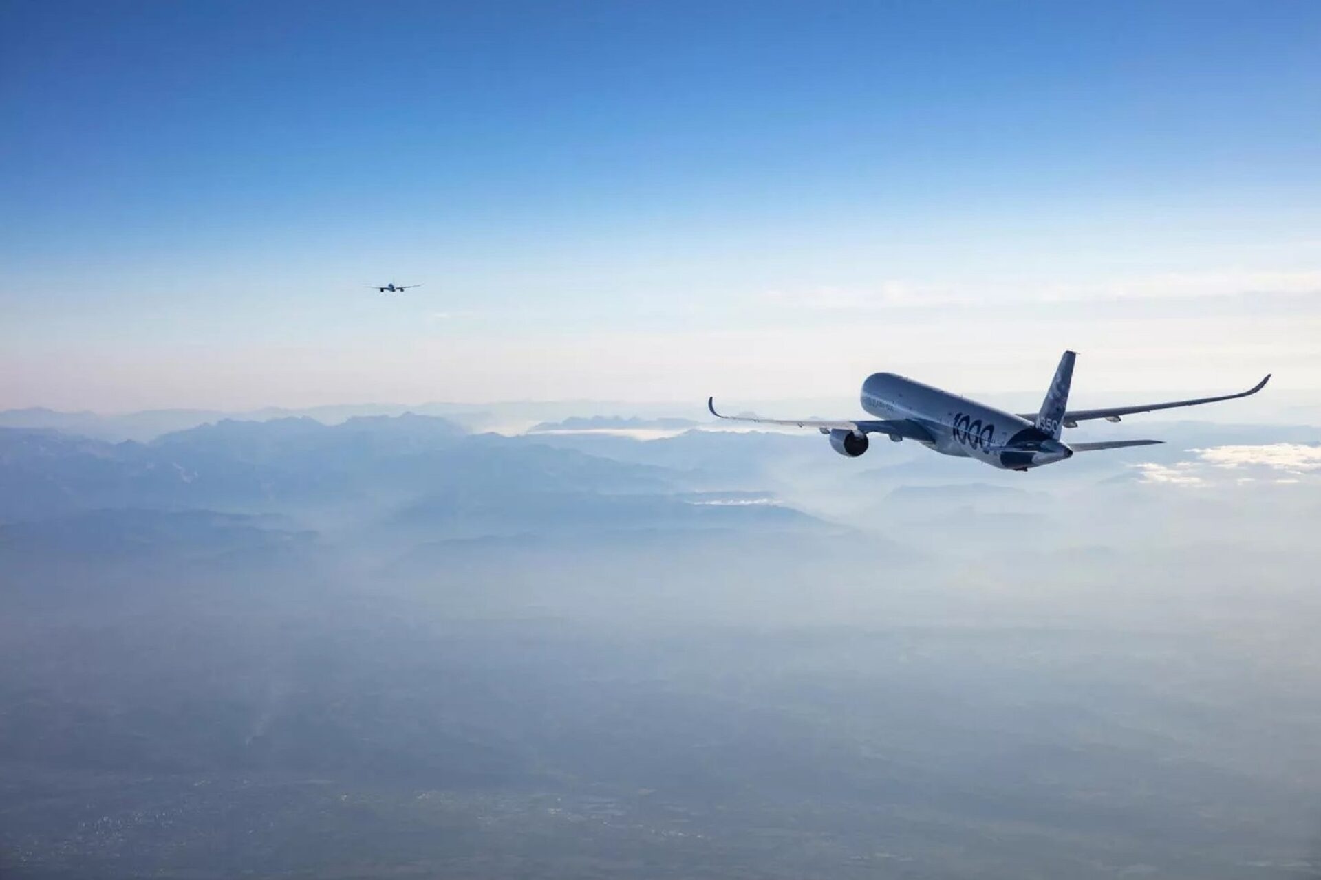 Aircraft design and concepts inspired by the natural world