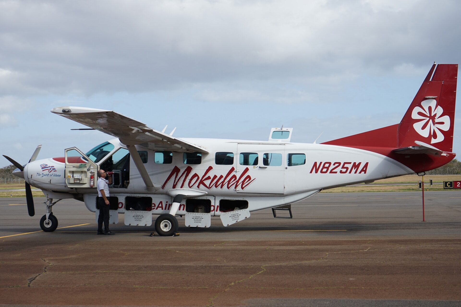 Mokulele Airlines Logo Mokulele Airlines Rebrands Under Its New