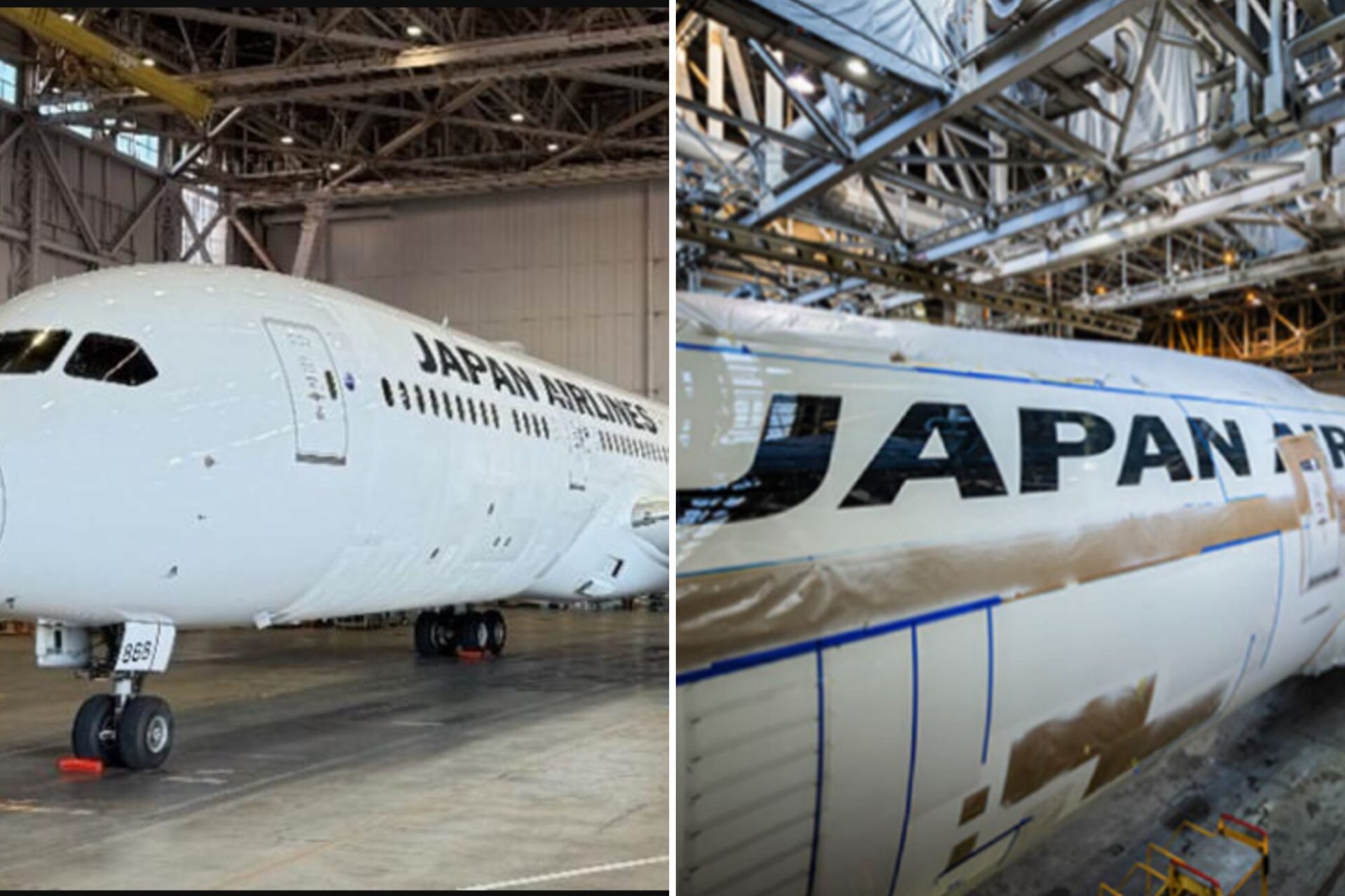 JAL to apply riblet-shaped paint on long-haul B787 flights - AeroTime