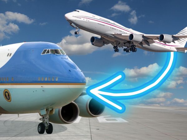 TOP 5 Airbus plane designs inspired by animals - AeroTime