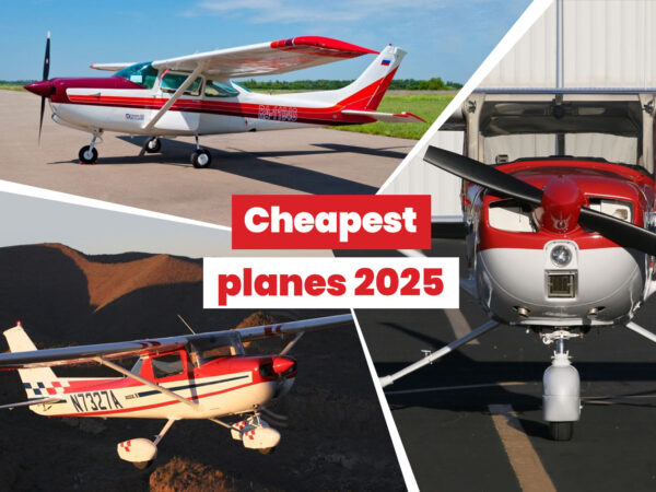 TOP 5 Airbus plane designs inspired by animals - AeroTime