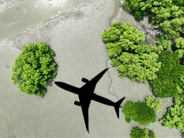 Fetcherr’s Generative AI drives efficient airline pricing - AeroTime