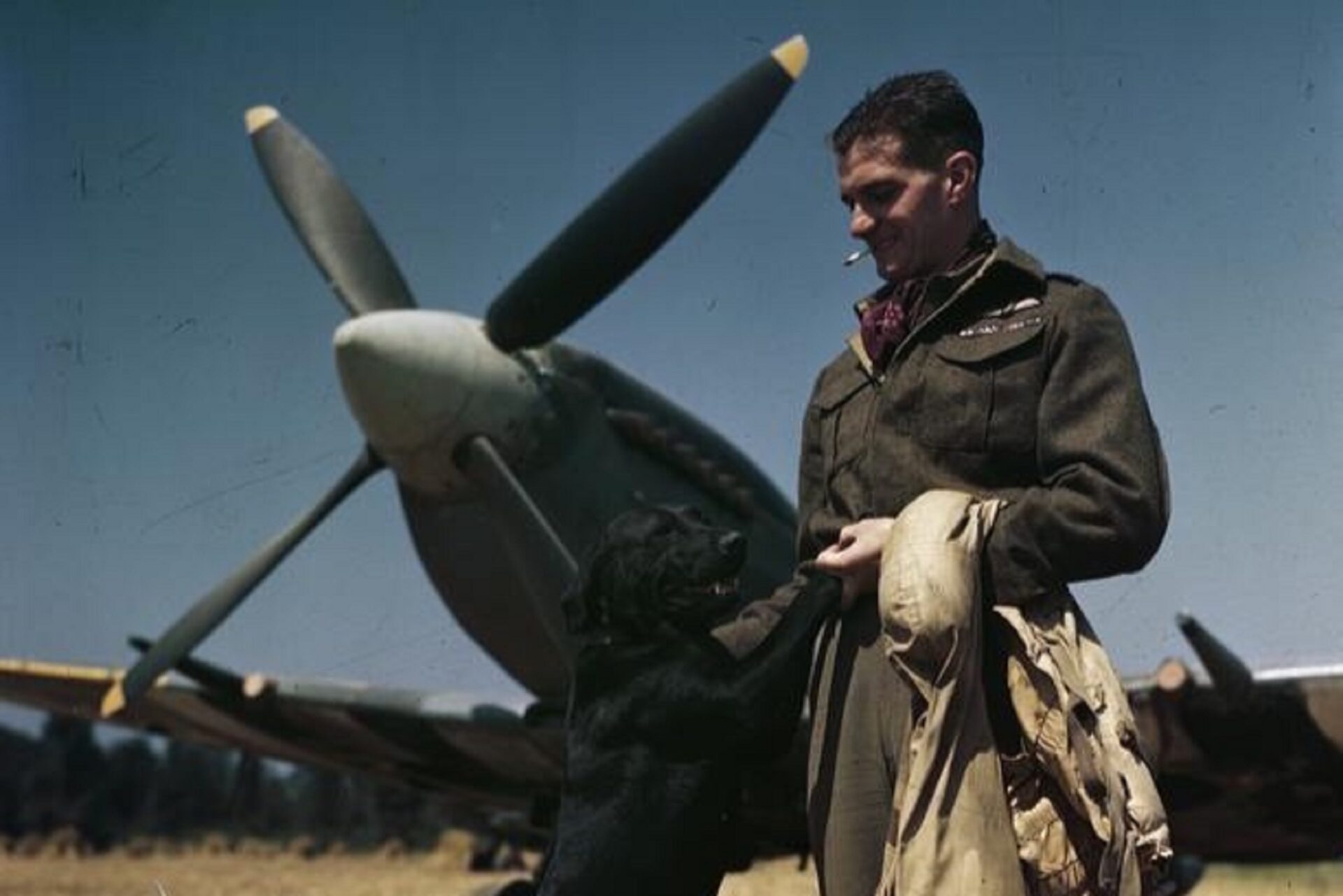 The WW2 Allied ‘Ace’ pilots who became legends of the air