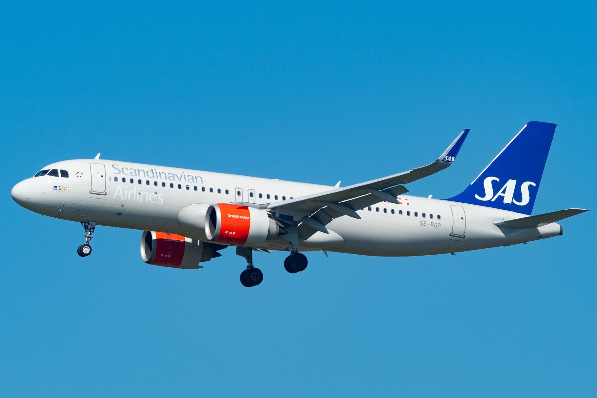 SAS flight abandoned after lithium battery ignites in bag