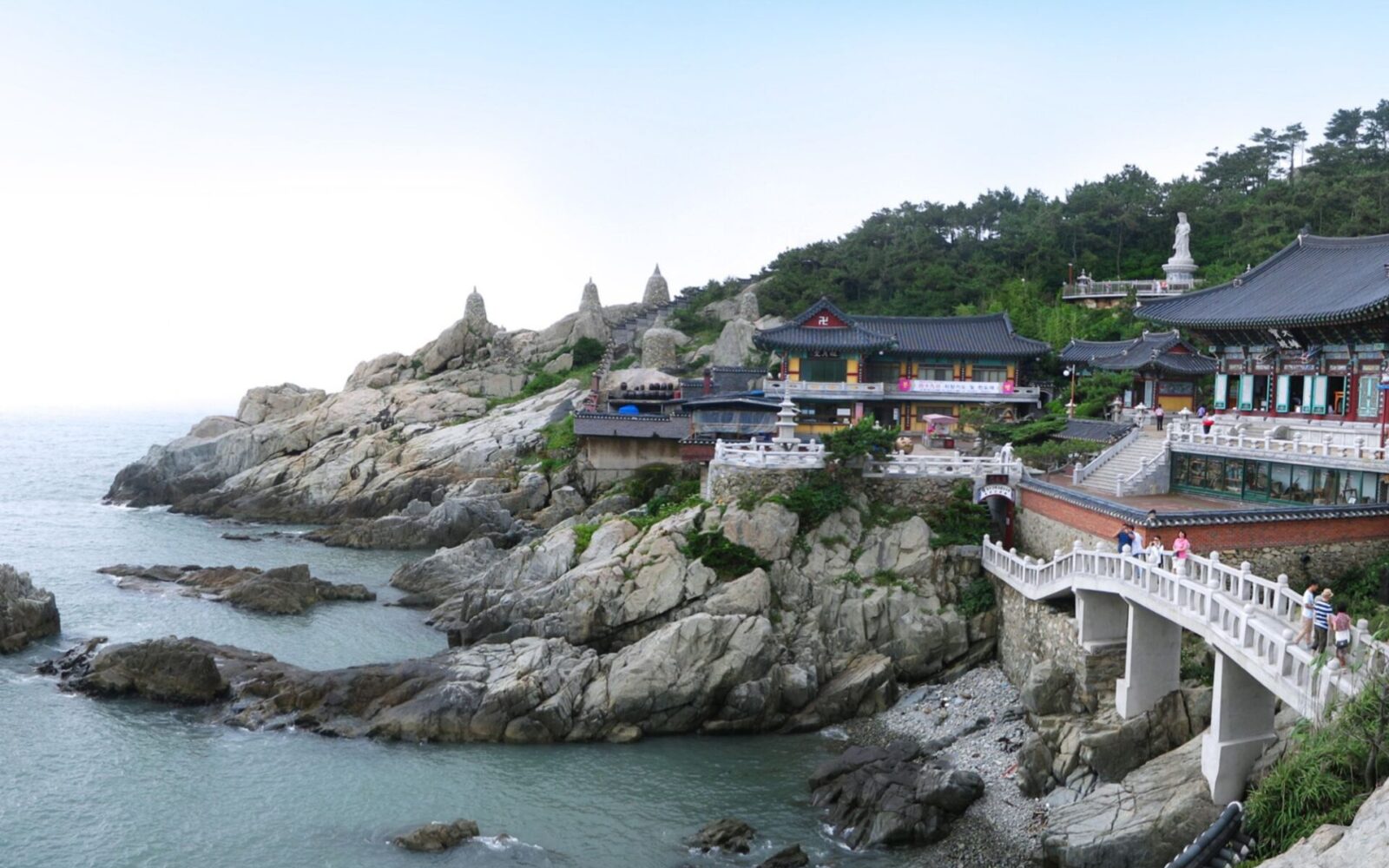 AirAsia X returns to Busan as Malaysia's sole direct route - AeroTime