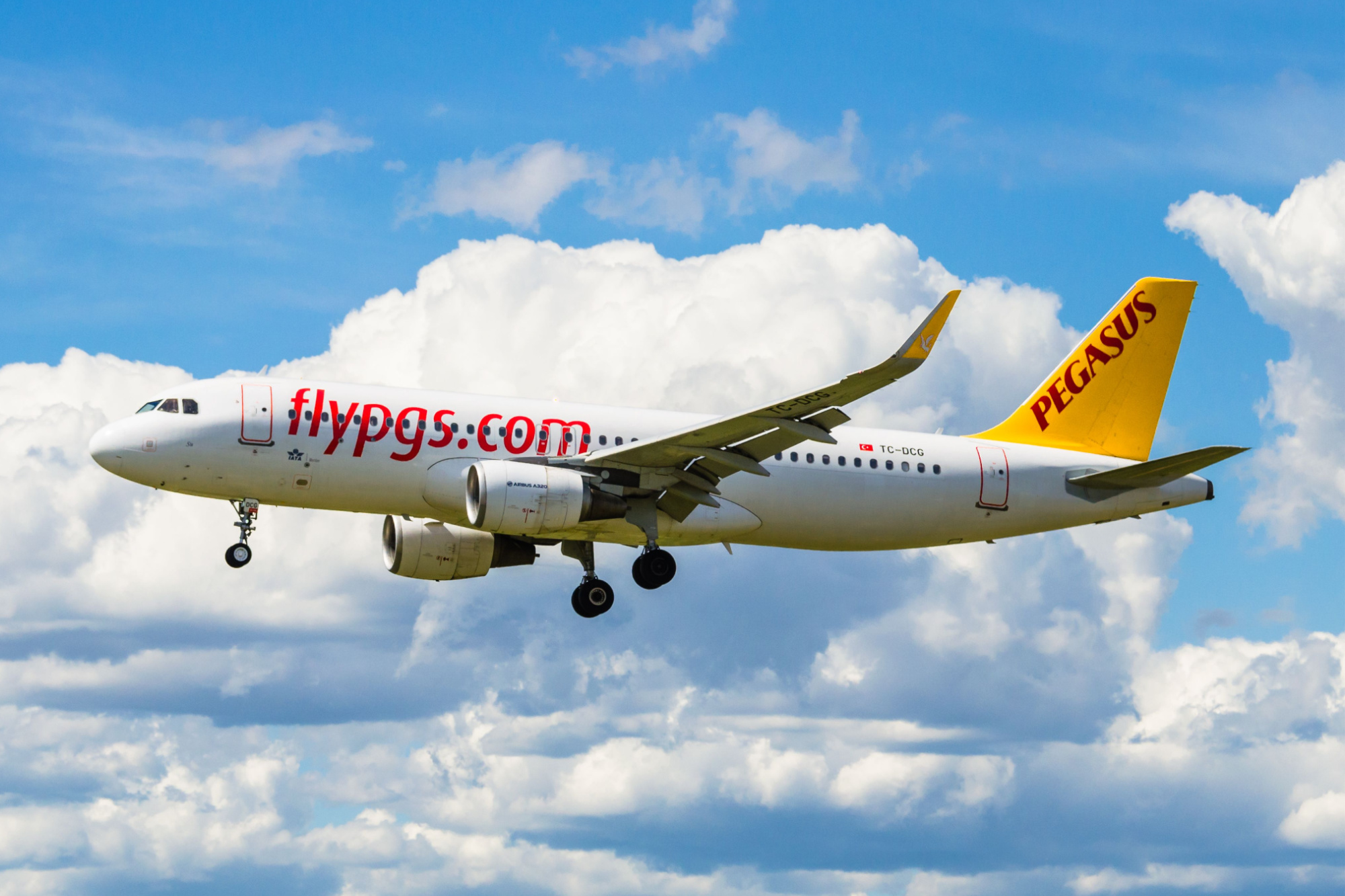 BAA Training entered partnership with Pegasus Airlines - AeroTime