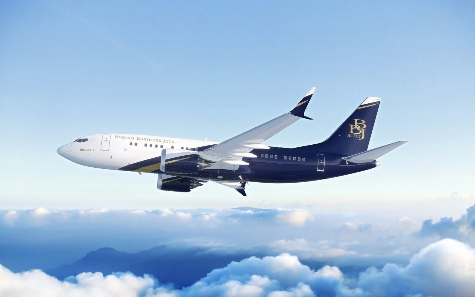 Boeing launches premium cabin designs for private 737 MAXs