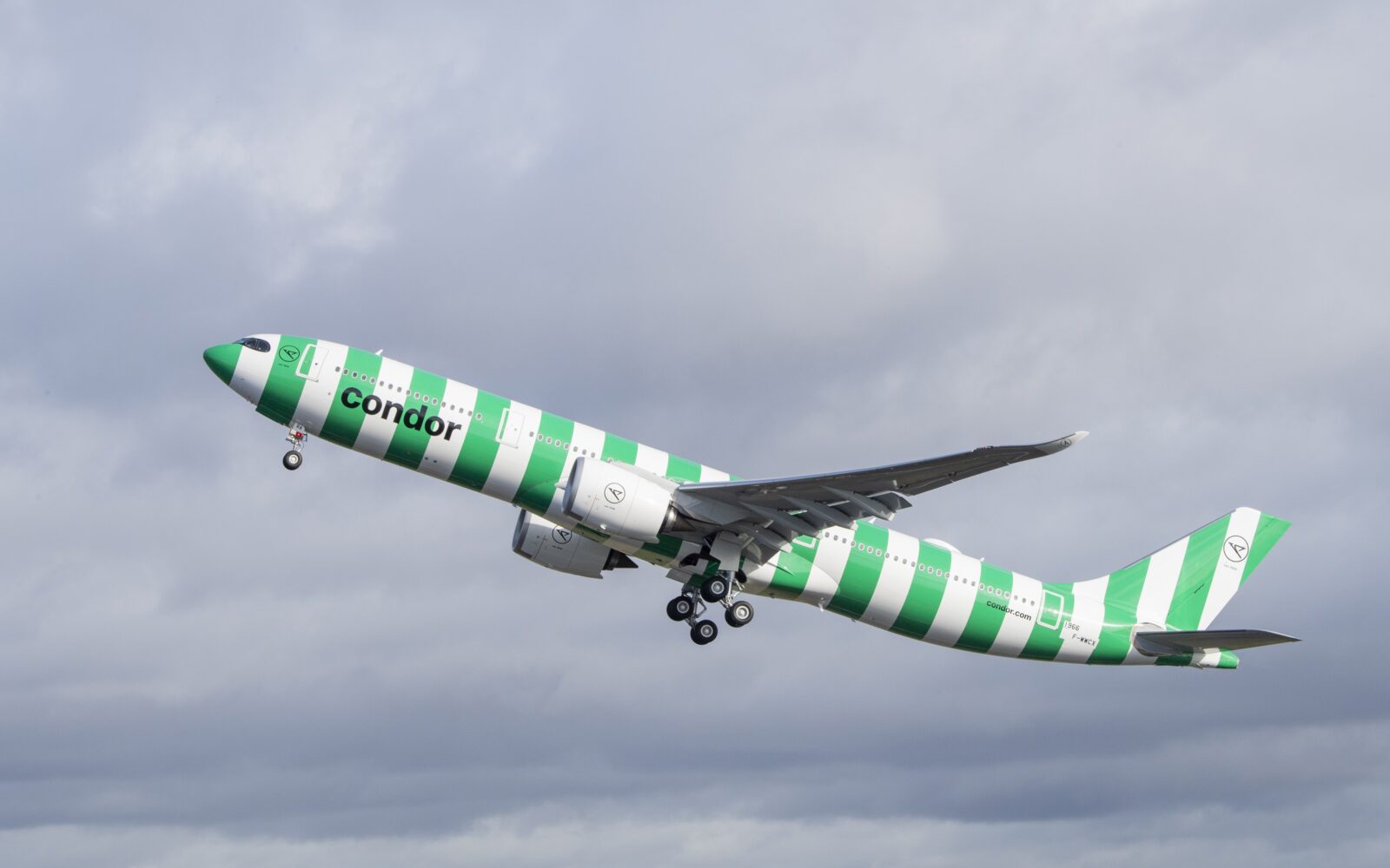 Aircraft lessor Avolon orders 20 Airbus A330neos - AeroTime