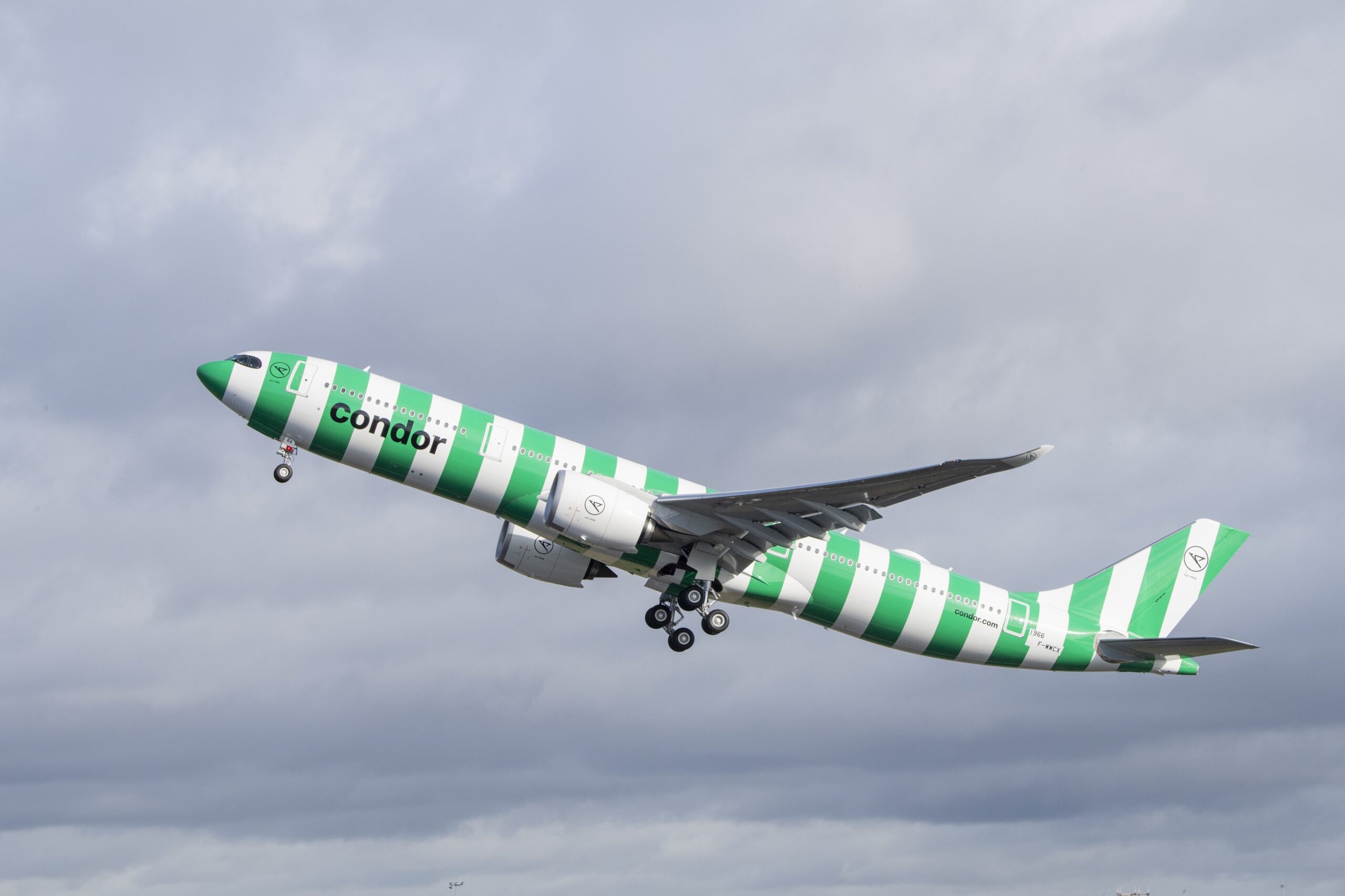 Aircraft lessor Avolon orders 20 Airbus A330neos - AeroTime