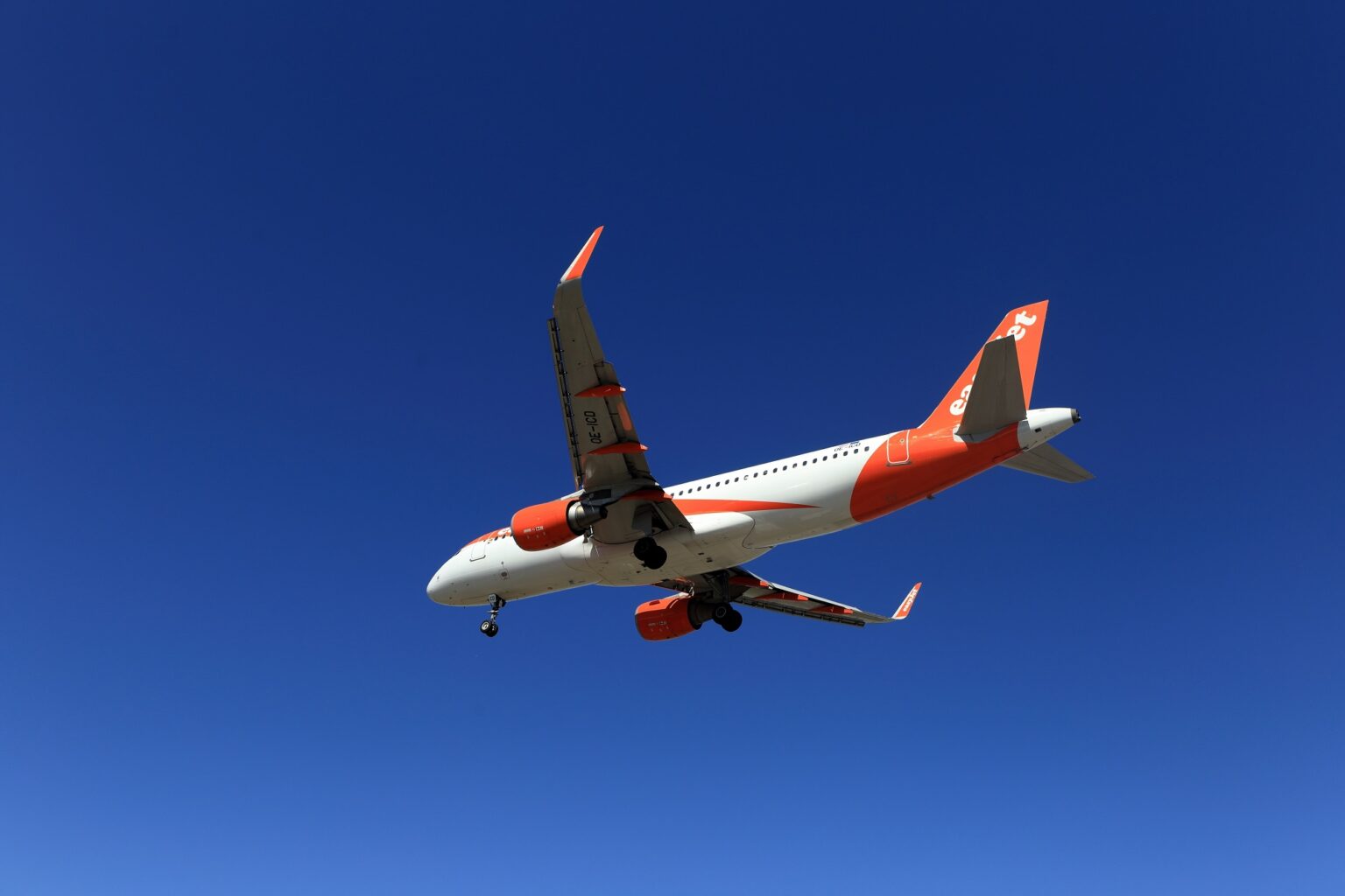Is easyJet for sale? Rumours grow about possible bid from shipping ...