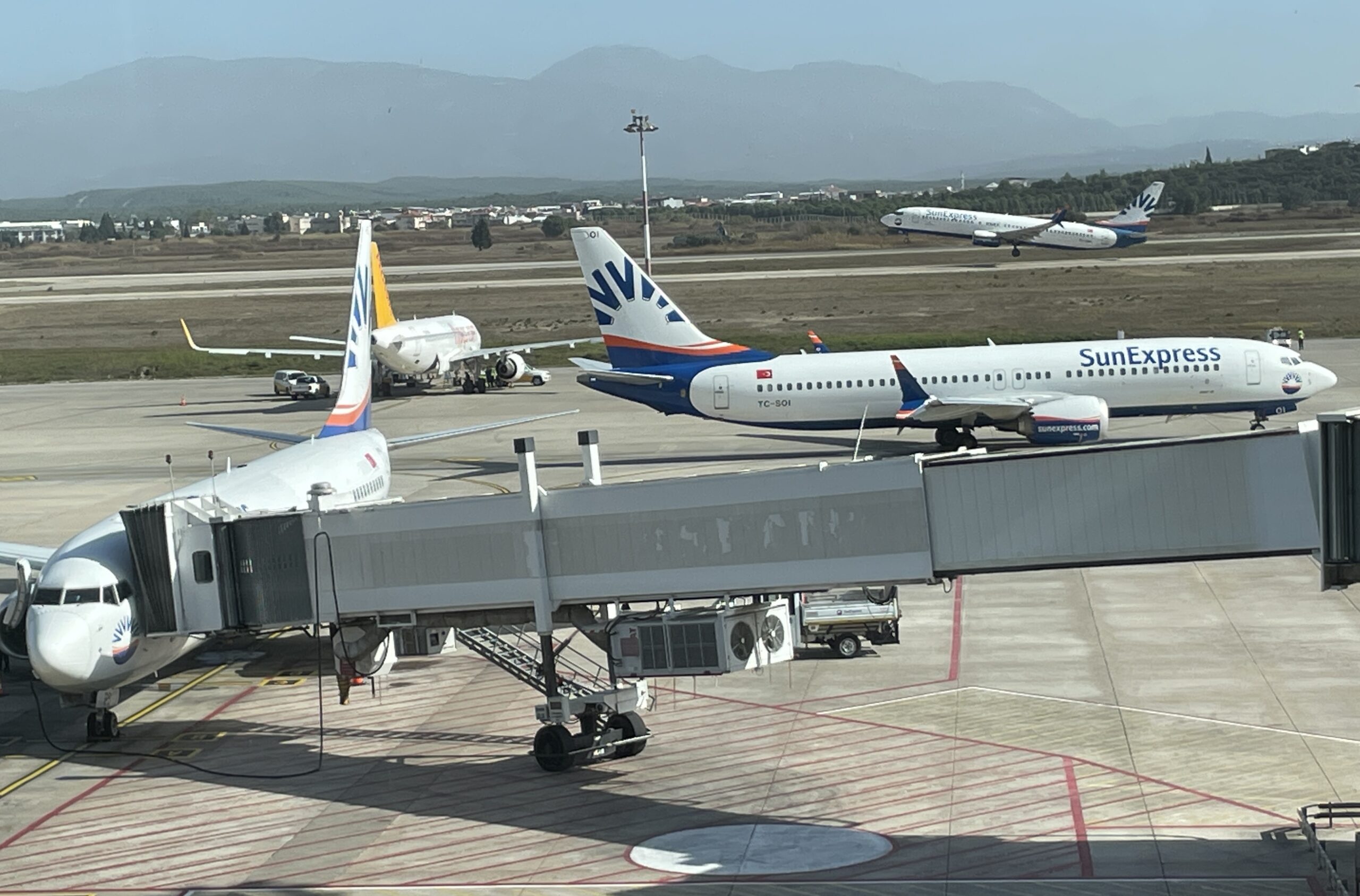 SunExpress CEO explains how airline plans to double in size