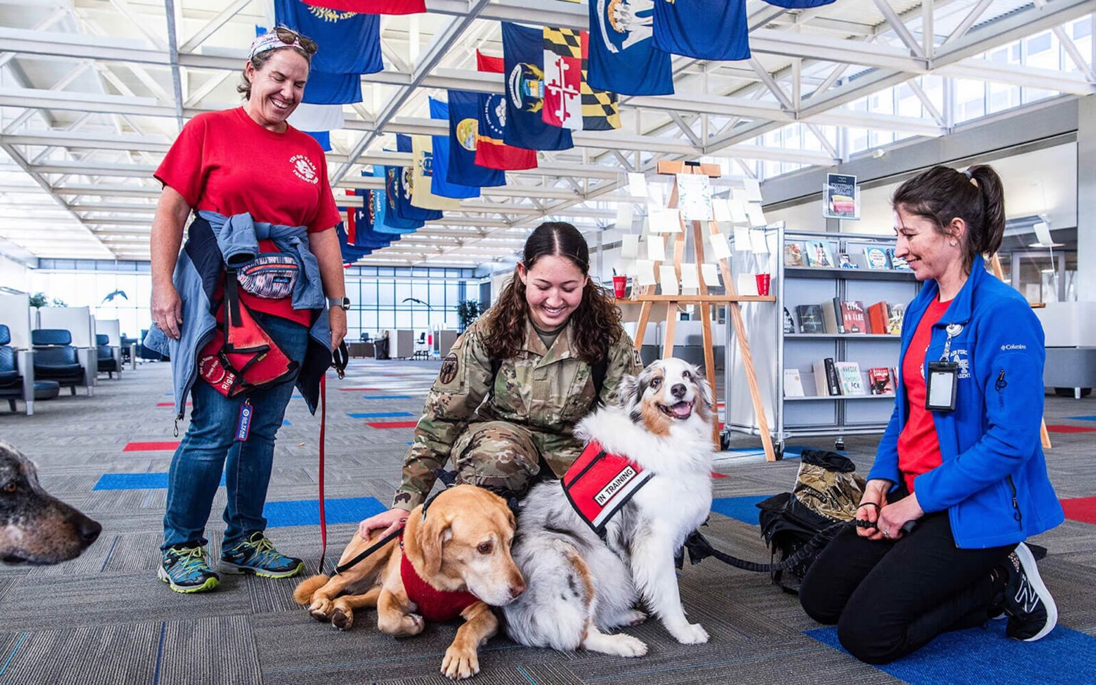 It's official: Airport therapy dogs reduce USAF cadet stress - AeroTime