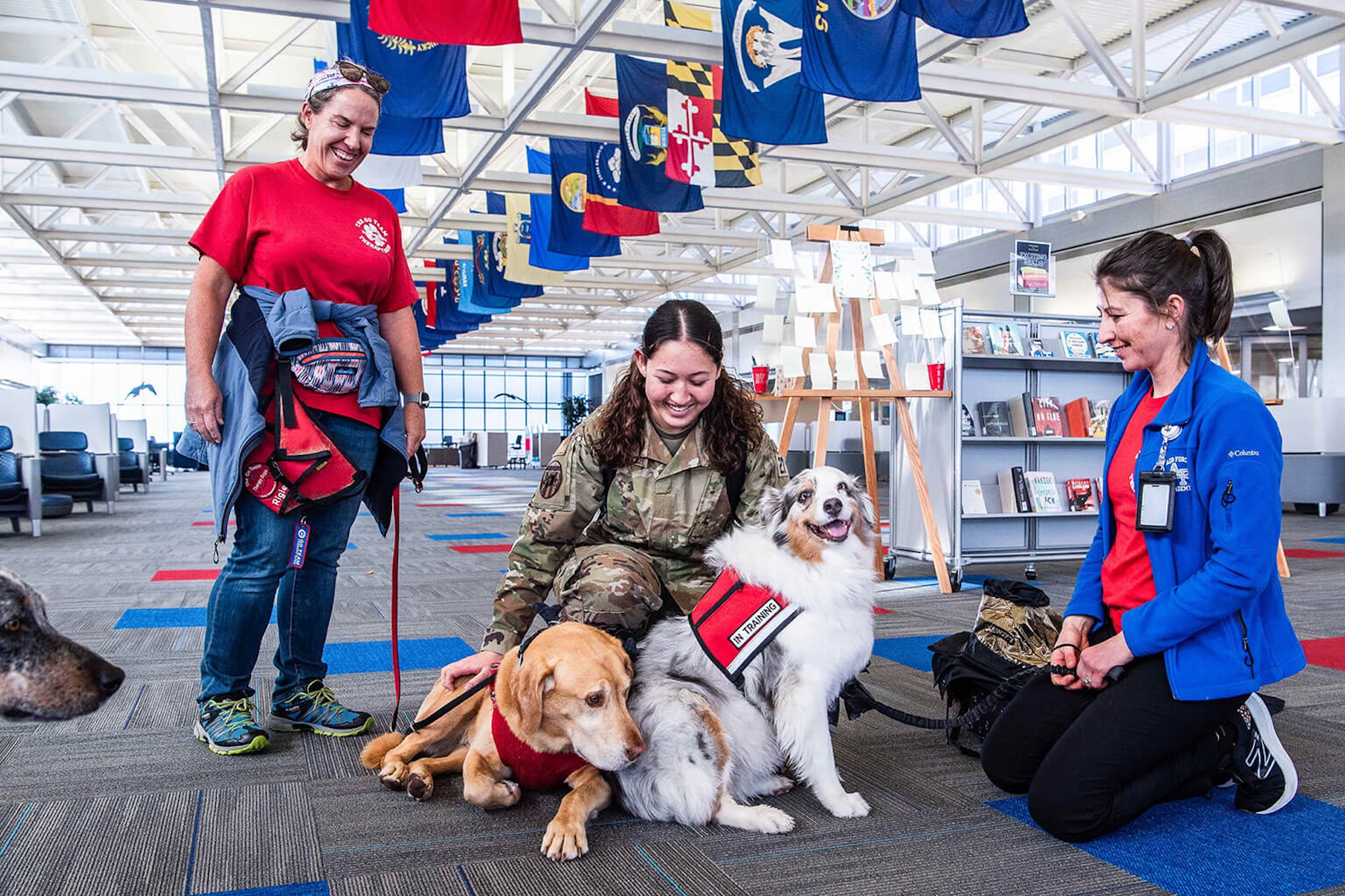 It's official: Airport therapy dogs reduce USAF cadet stress - AeroTime