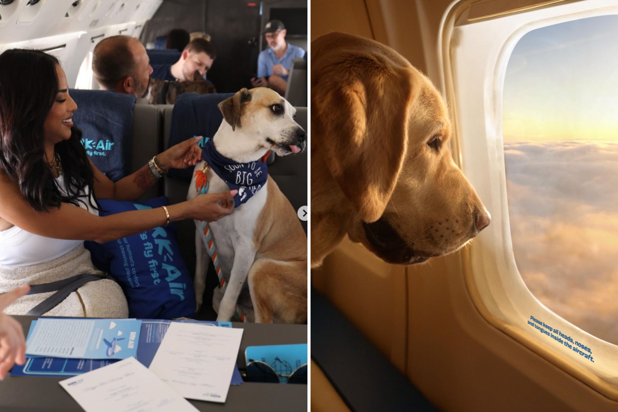 BARK Air completes inaugural flight from NYC to LAX - AeroTime
