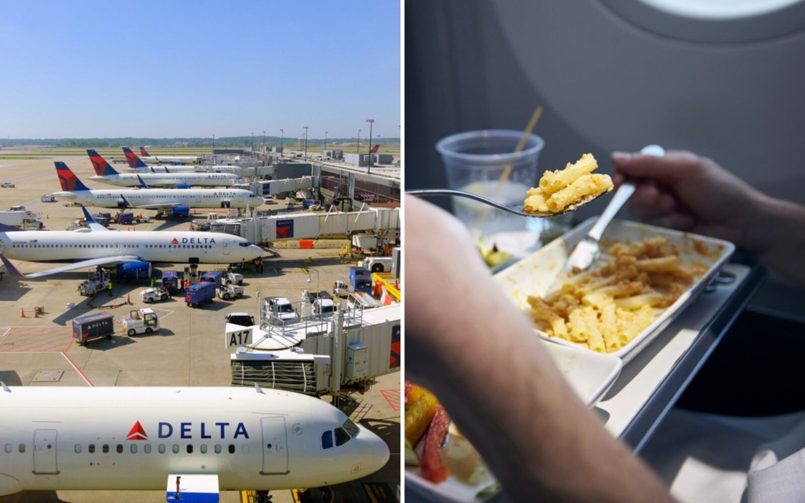 Delta flight diverted to JFK due to spoiled in-flight meals - AeroTime