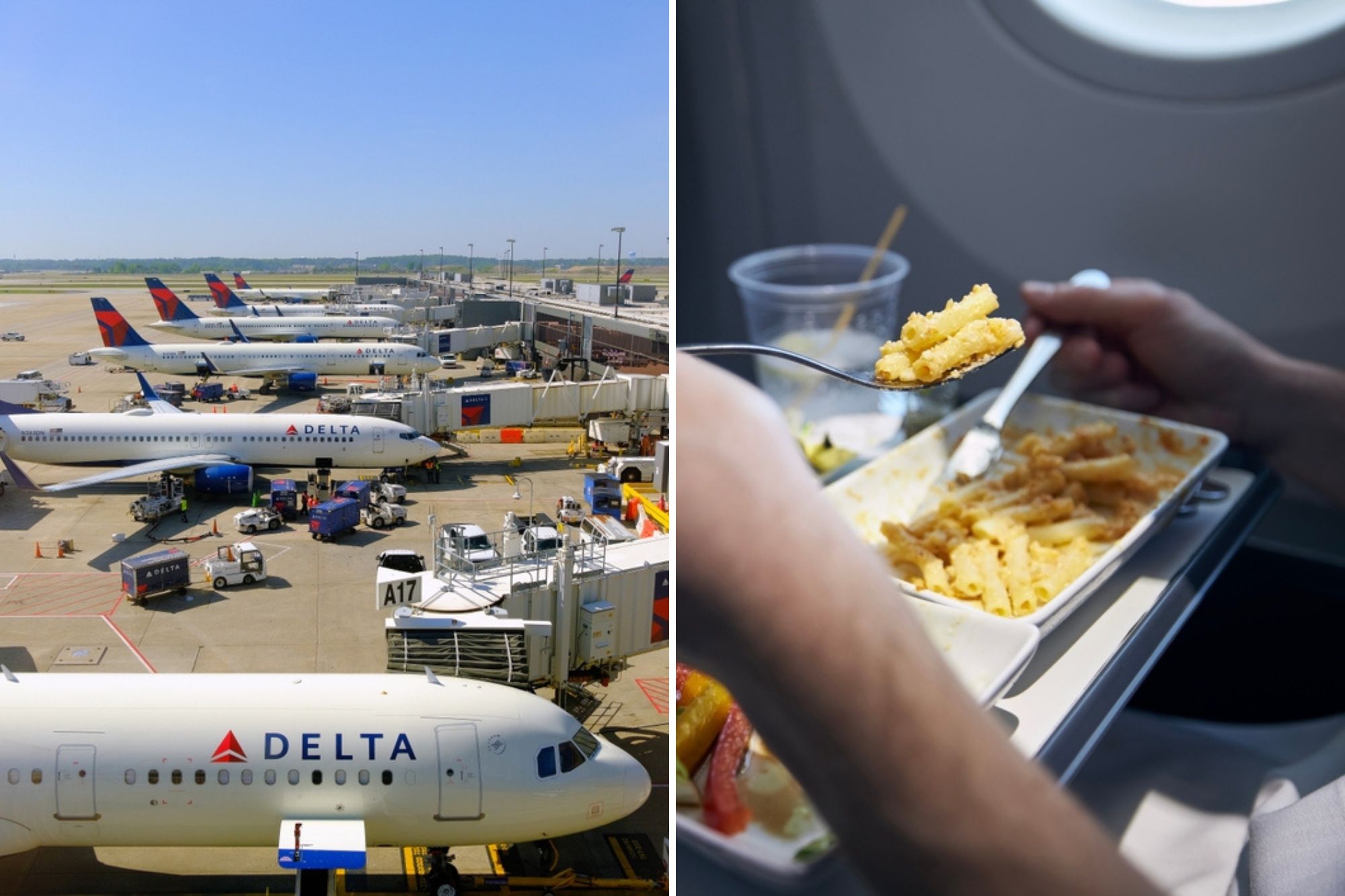 Delta flight diverted to JFK due to spoiled in-flight meals - AeroTime