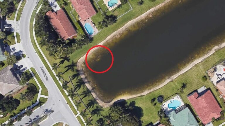 Commercial satellite images: crime fighter or privacy issue?