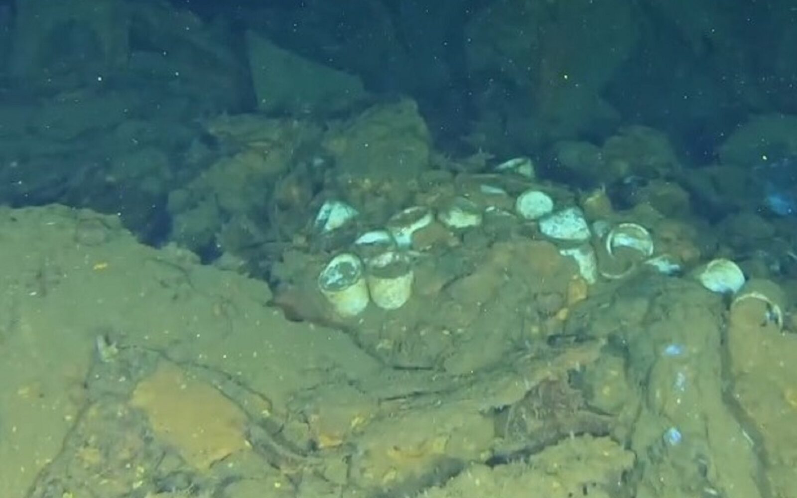 Wreck of WW2 aircraft carrier sunk by kamikaze strike found