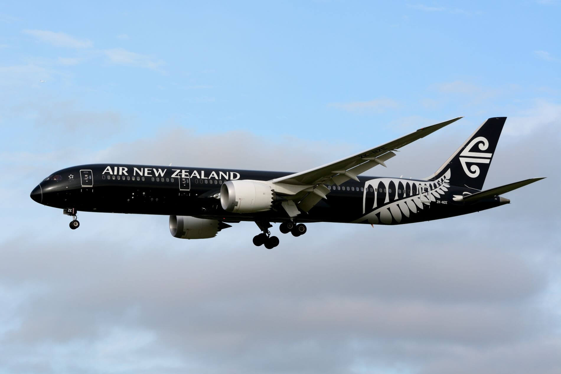 Paint peeling on Air New Zealand’s Boeing 787s - AeroTime