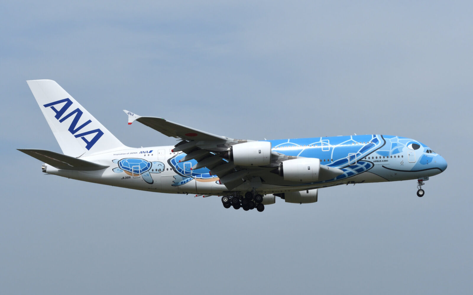 ANA downgrades profit target after COVID-19 outbreaks hit first-half ...