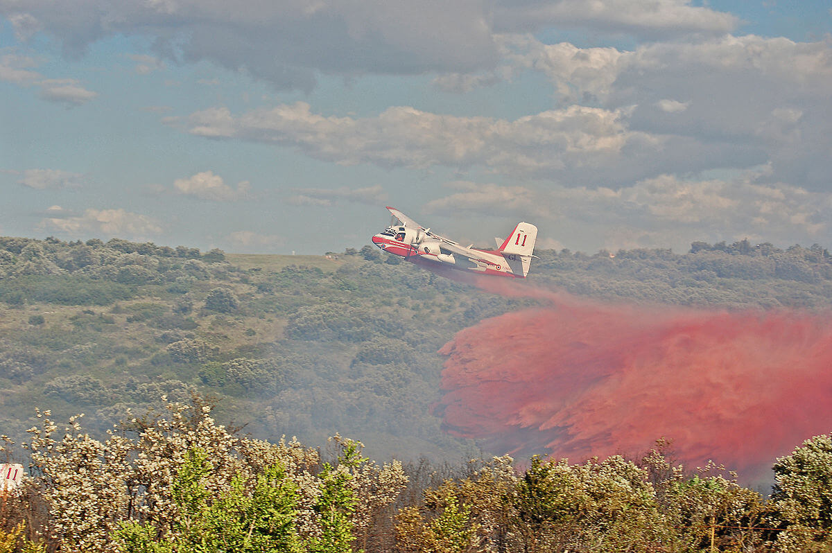 French waterbomber crashes during forest fire, one pilot dead - AeroTime