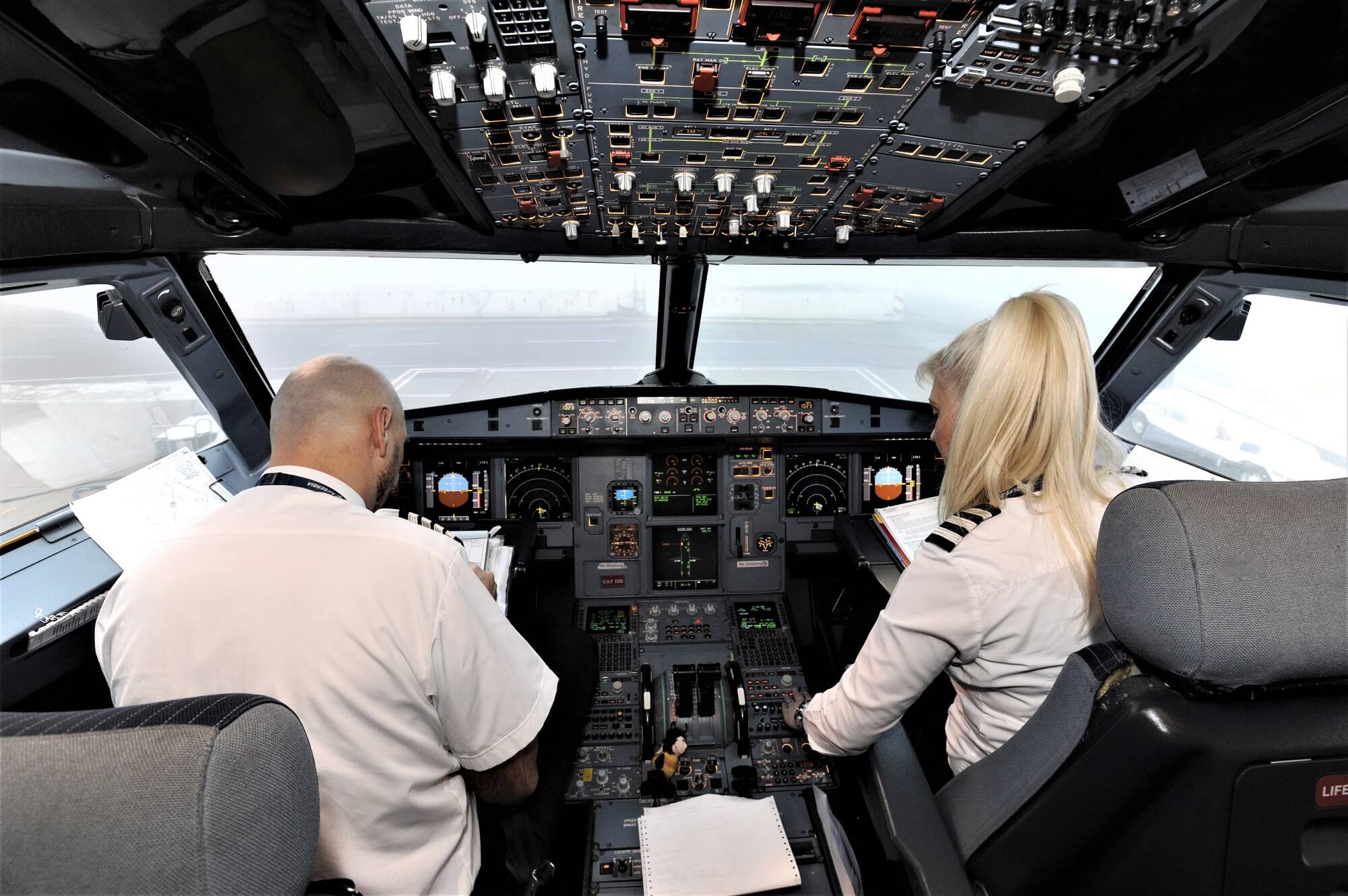 Pilot sues Southwest Airlines after captain exposed himself mid-flight ...