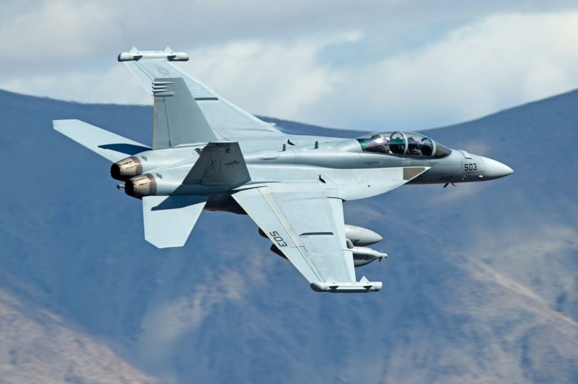 F/A-18E/F Super Hornet: its origin, purpose and performance