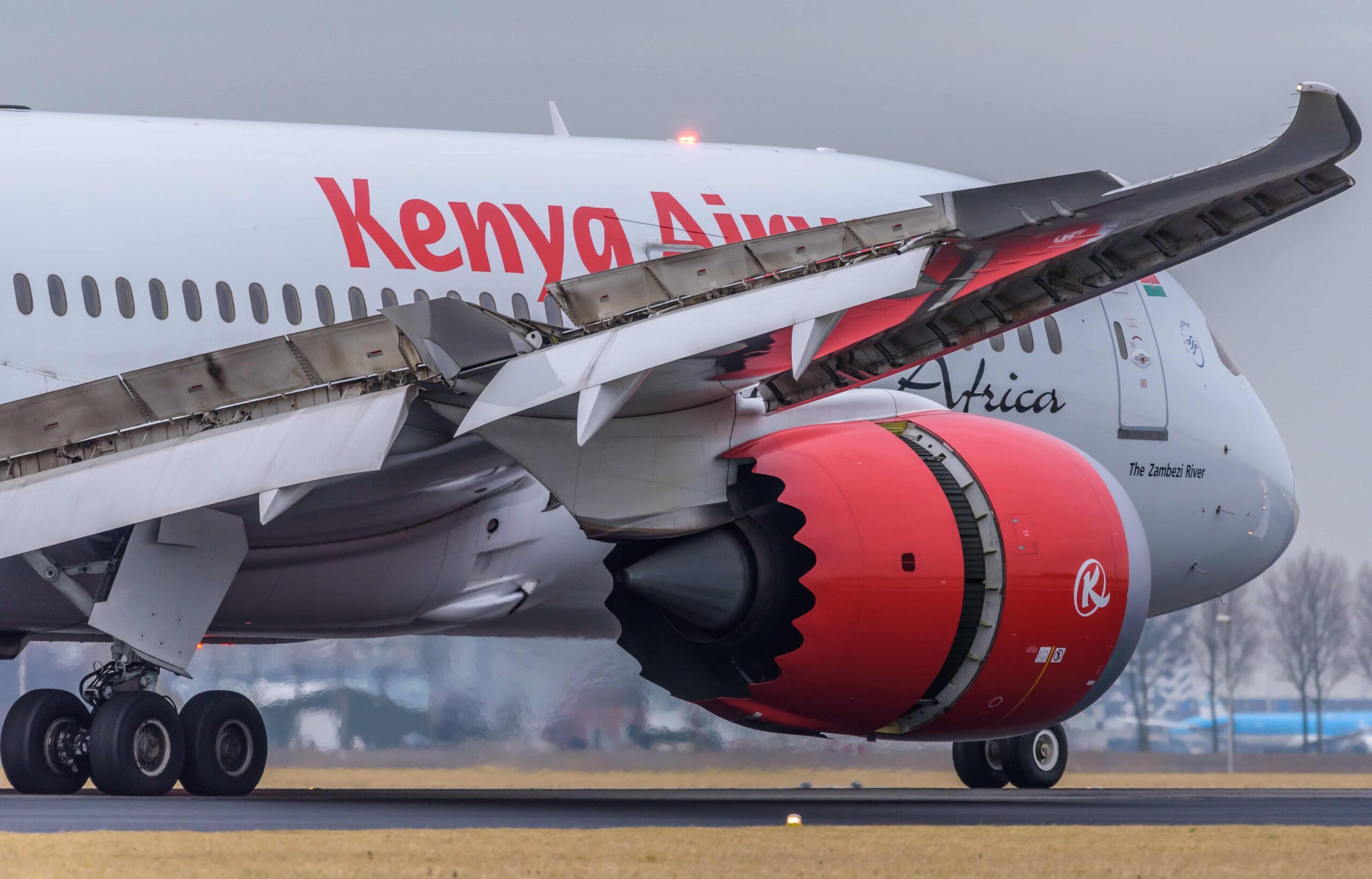 Passenger dies after being found ‘unresponsive’ on Kenya Airways JFK-NBO flight - AeroTime