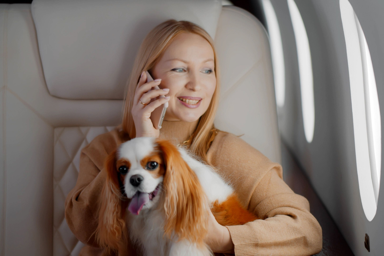 The new VIPs: Why so many travelers fly pets by private jet - AeroTime