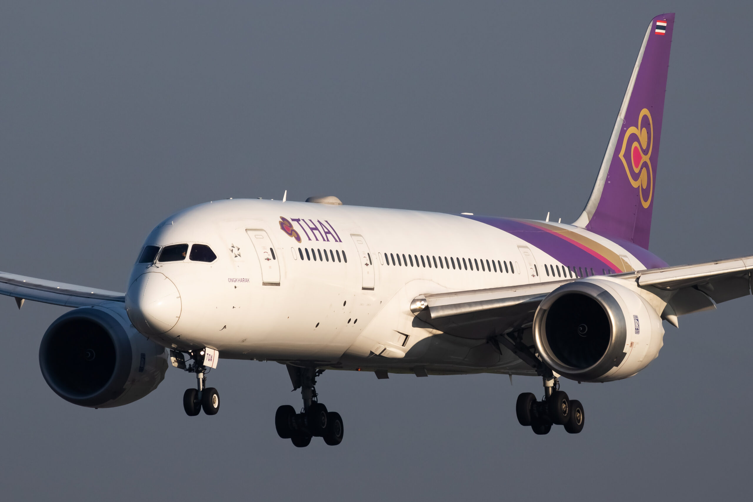 Thai Airways considers orders for up to 90 new aircraft