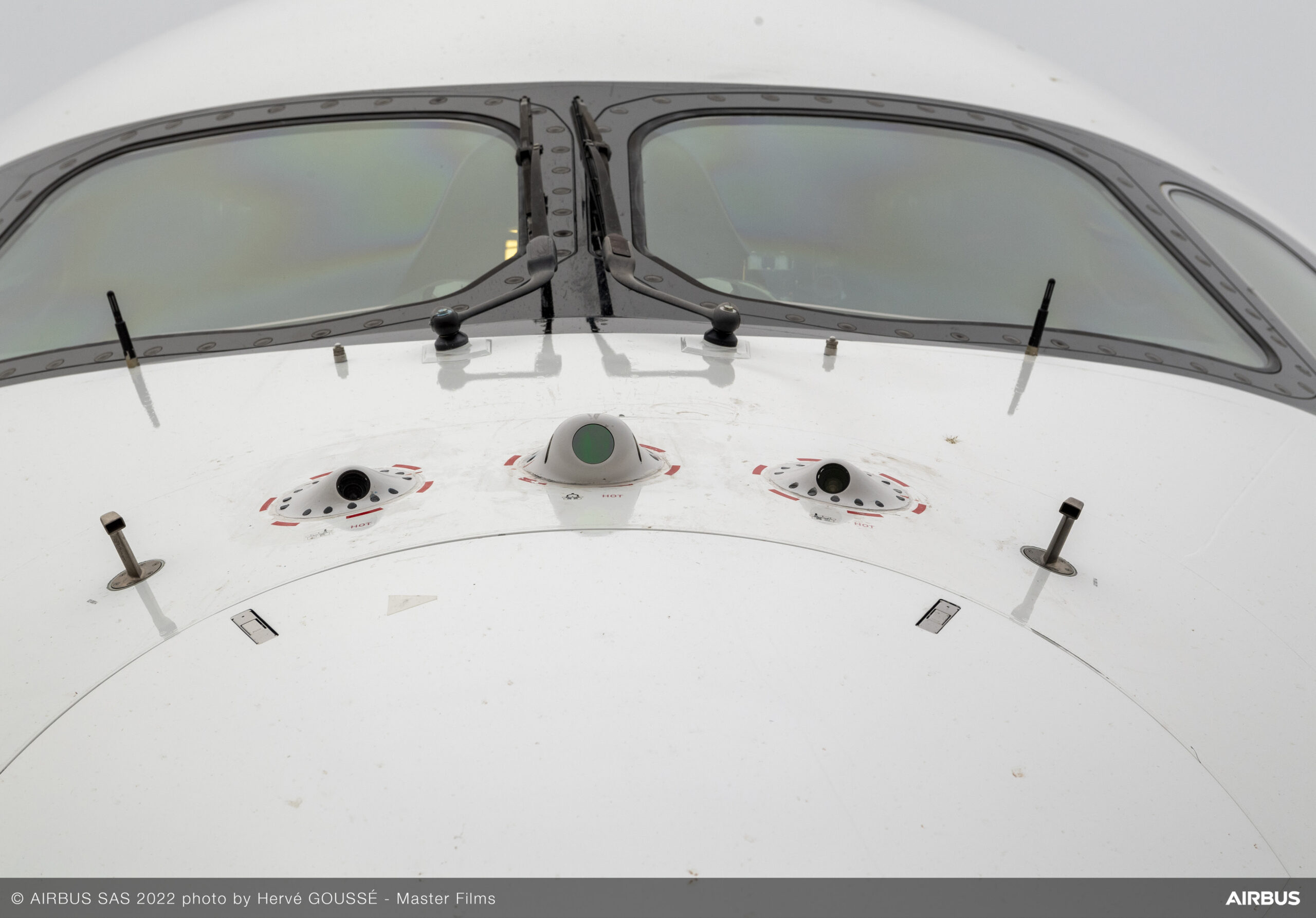 Airbus explores autonomous flight through biomimicry - AeroTime